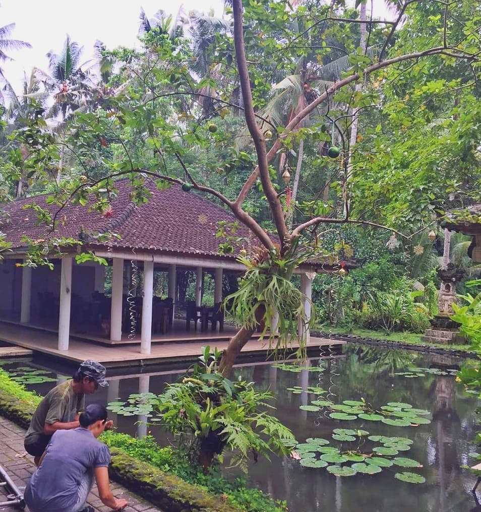 COME SI FESTEGGIA IL NATALE A BALI – Coccoon